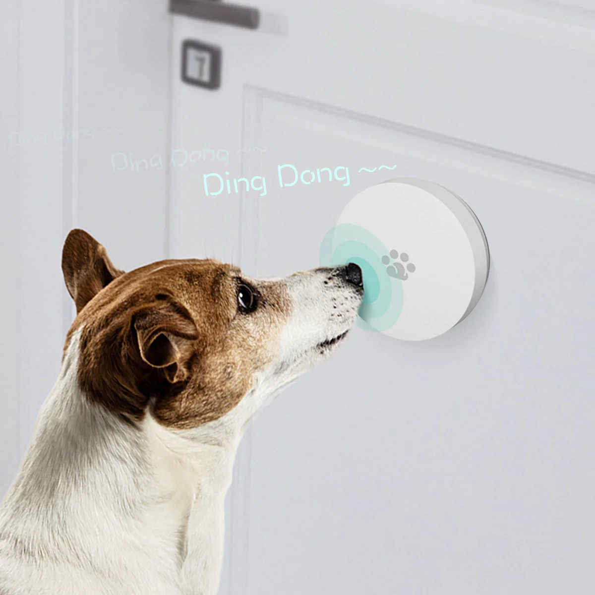 MySmartpet - Intelligens háziállat gondozás - Rólunk