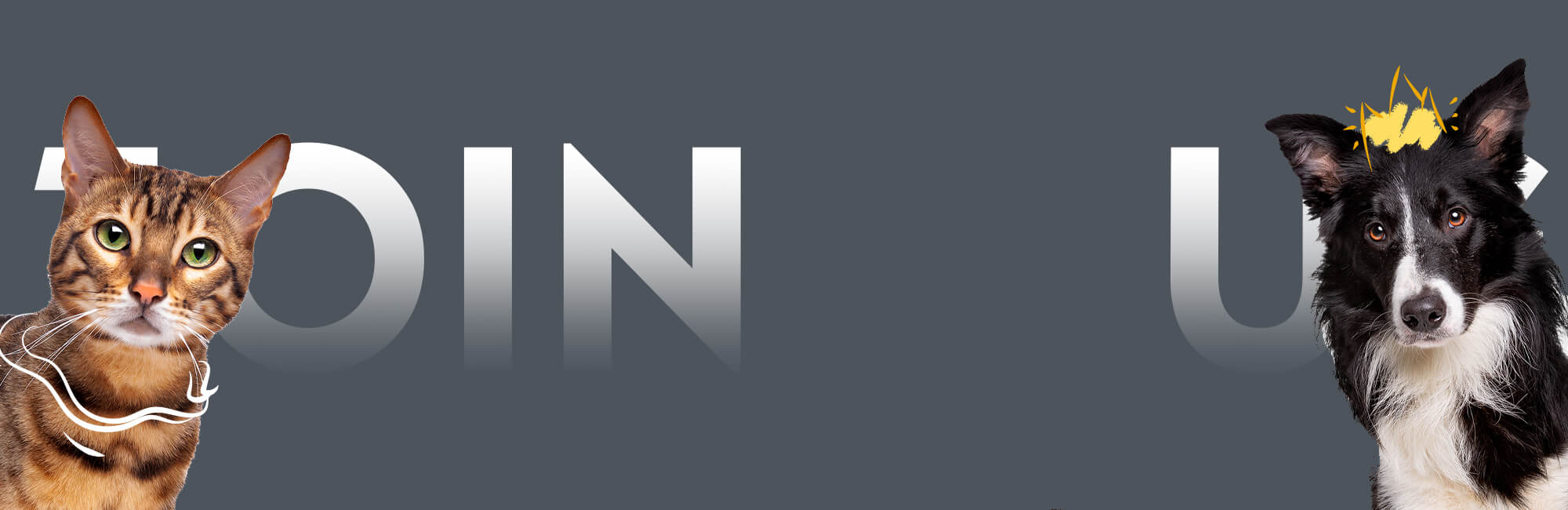 FAQs - MySmartPet - Gondoskodj Okosan!